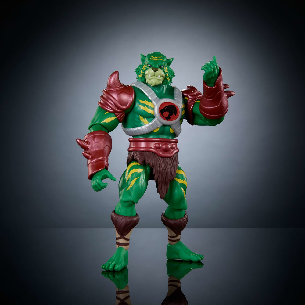 Masters of the Universe Origins & ThunderCats Battle Cat Man Action ...