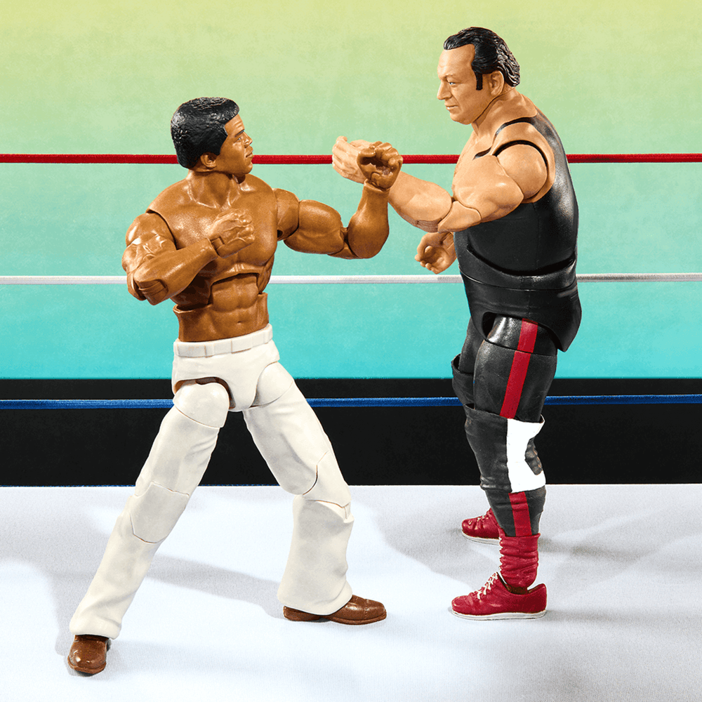 WWE Legends From the Territory Era Figure 4-Pack| Mattel Creations
