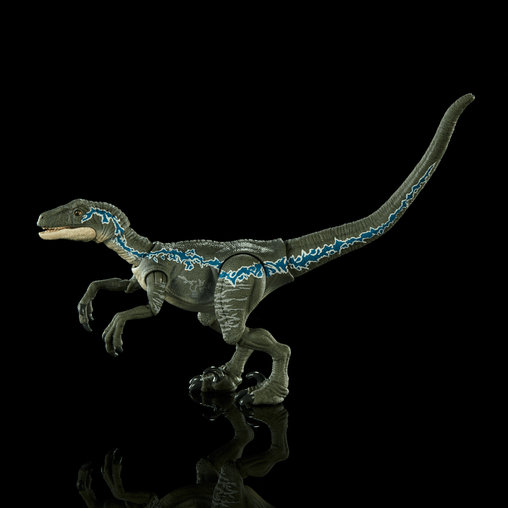 Jurassic World Hammond Collection Velociraptor Blue Dinosaur Figure ...
