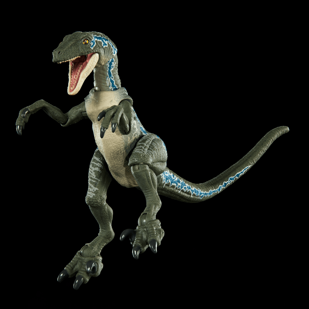 Jurassic World Hammond Collection Velociraptor Blue Dinosaur Figure ...