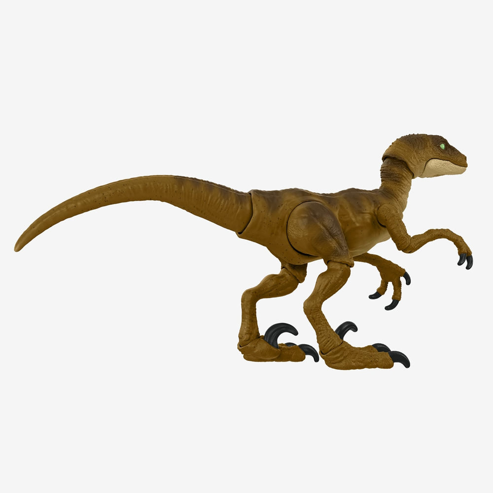 Jurassic World Hammond Collection Velociraptor Figure – Mattel Creations