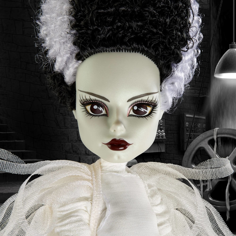 Frankenstein & Bride of Frankenstein Monster High Skullector Doll Set ...